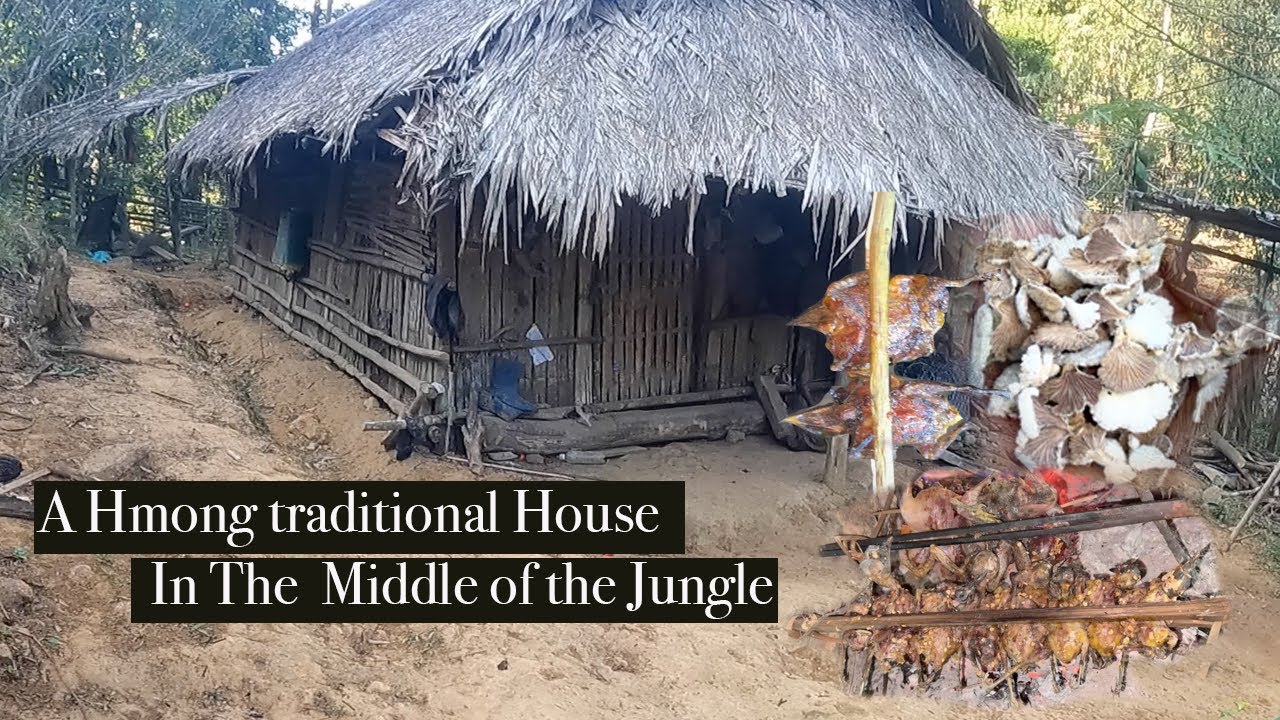 Visit Hmong traditional House in middle of the jungle | Lao Jungle ...