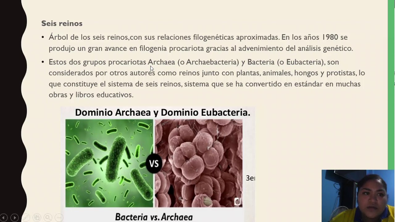 DIVISIÓN DEL MUNDO VIVIENTE BIOLOGIA SECUNDARIA - YouTube