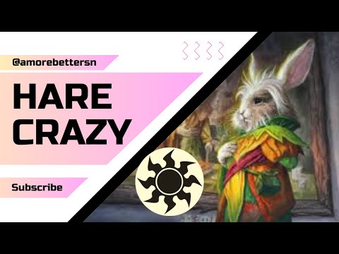 Hare Crazy - Standard - Hare Apparent