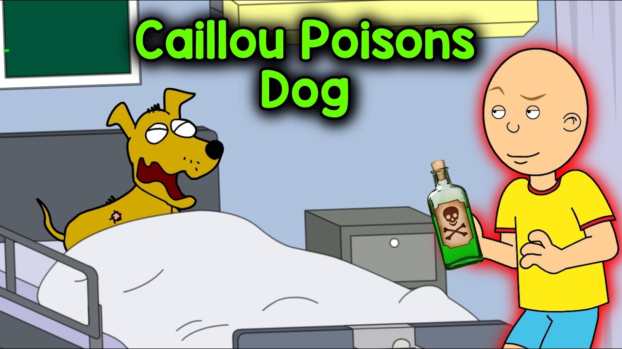 Caillou Poisoned Dog & Gets Grounded - YouTube