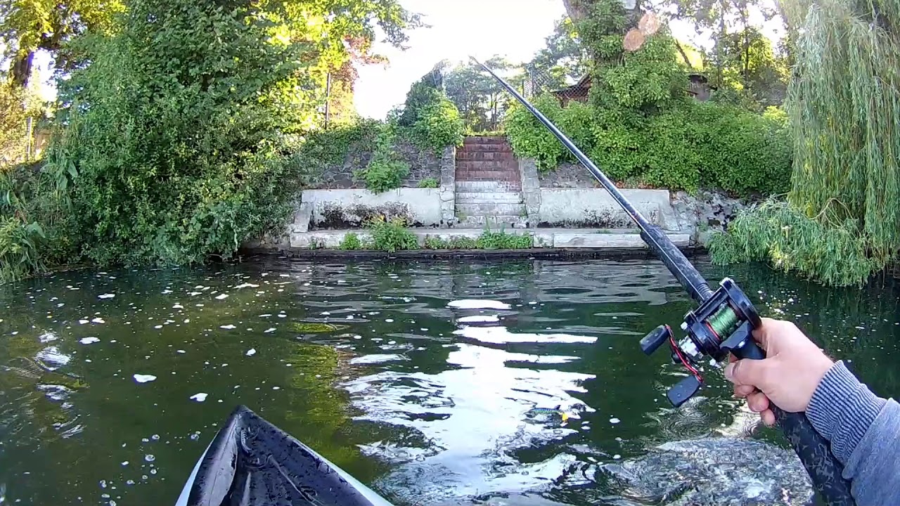 River Thames - Lure fishing for pike 4 - YouTube