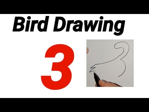 3 Number Drawing Bird | Easy Drawing Bird | Number Drawing - YouTube