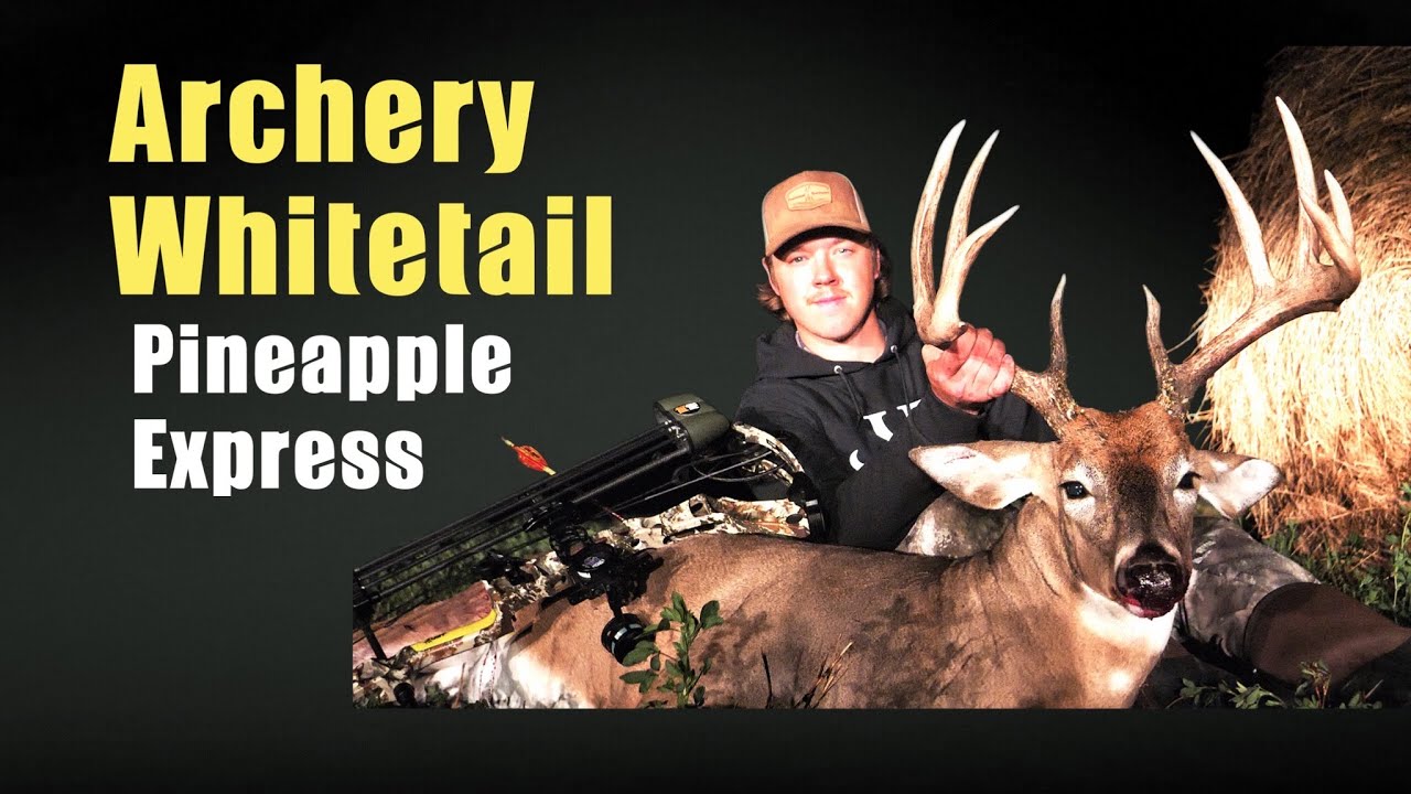 BIG ARCHERY WHITETAIL! JR S3 EP03 "PINEAPPLE EXPRESS" - YouTube