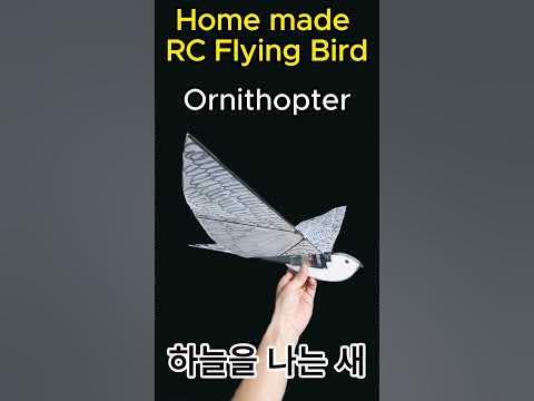 Home made RC Flying Bird_하늘을 나는 새_Ornithopter #shorts #Flapping_Wing #Servo_Flapping #RC_bird ...