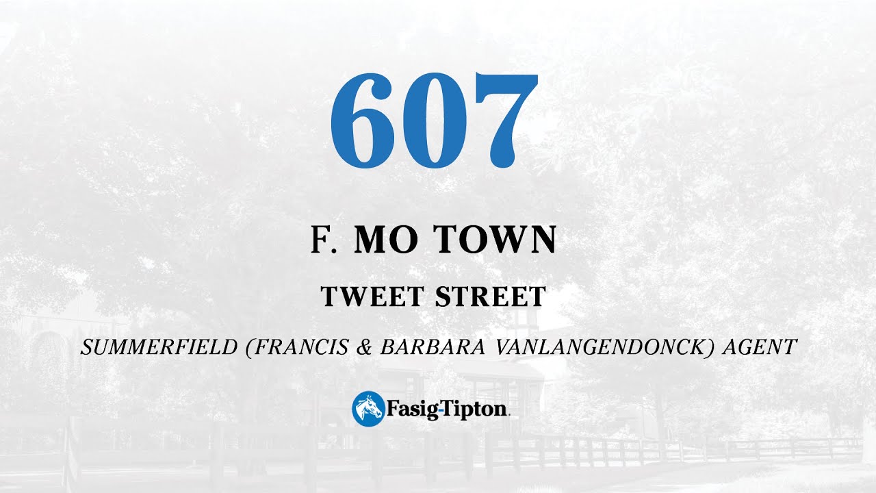 607 YouTube 607 YouTube