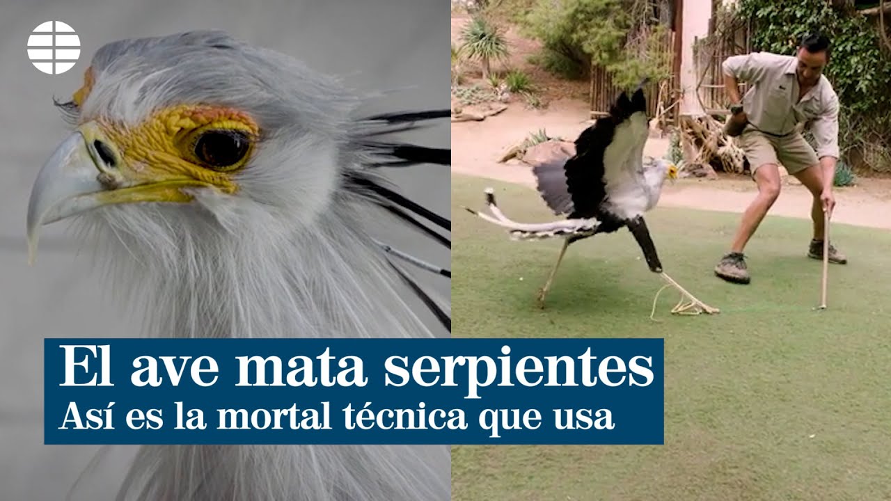 Ciencia - Noticias de ciencia - Página 46 | EL MUNDO