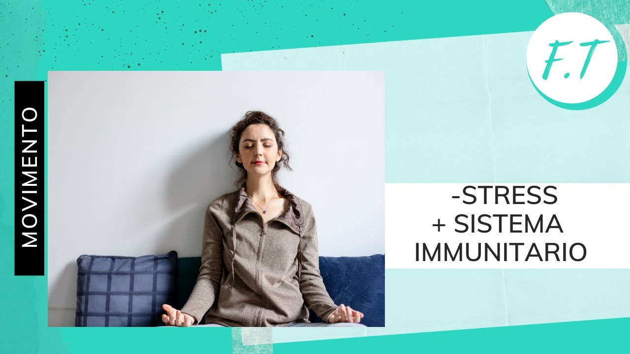 SEQUENZA - stress +sistema immunitario - YouTube