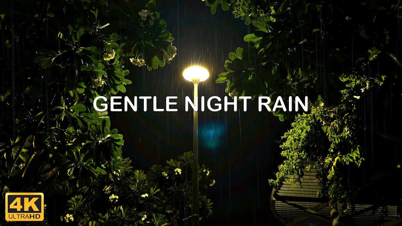 Sleep Better with The Sounds of Light Rain at Night - YouTube