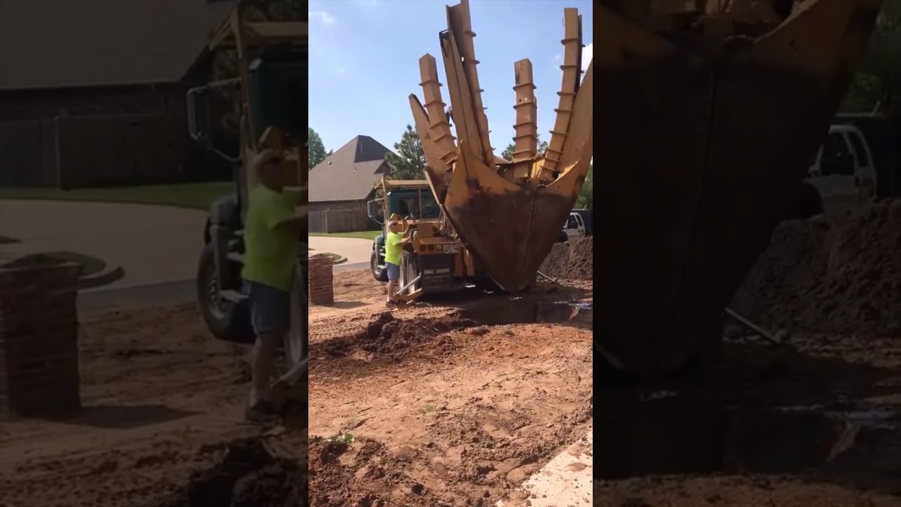 Large Tree Planting - YouTube