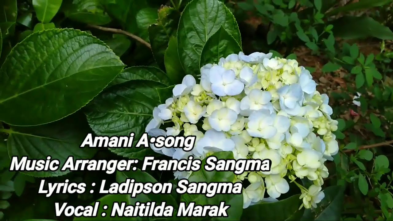 Amani A•song Official video || Garo Patriotic song|| ft. Naitilda Marak ...
