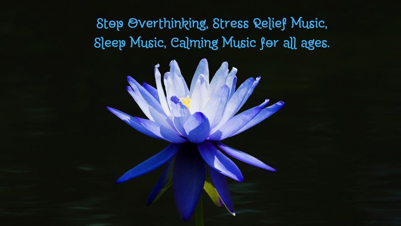 Ambient Koi Pond - Relax, Focus, Meditate, Sleep - YouTube