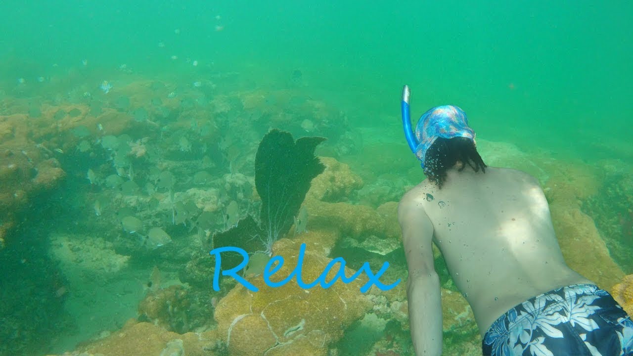 Underwater relaxing Music, Float with the fish - YouTube