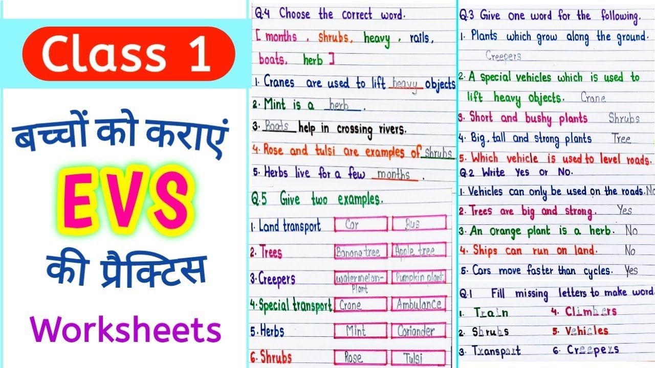 Class 1 EVS | EVS Worksheet for Class 1 | Class 1 EVS Worksheet | Class ...