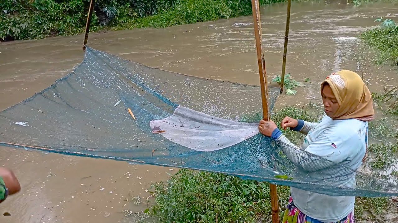UNBELIEVABLE GIRL CAST NET FISHING || TRADITIONAL NET FISHING SKILLS ...