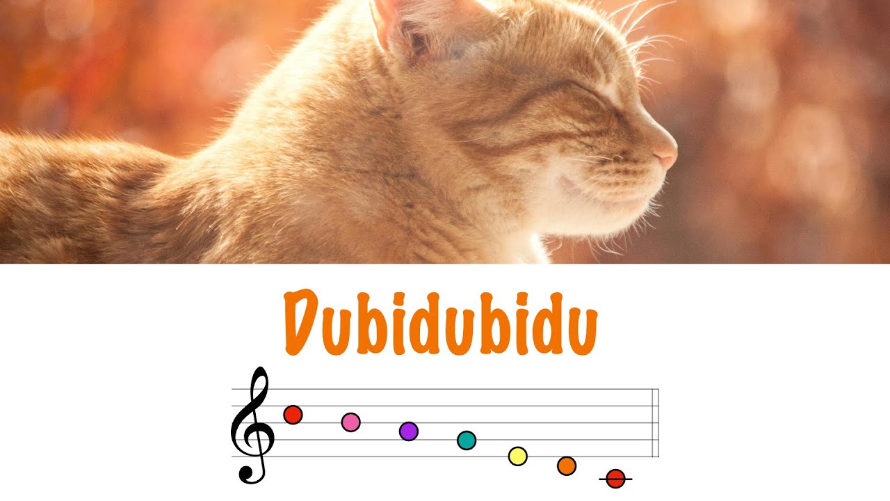 Dubidubidu (Chipi chipi chapa chapa) - Flauta - YouTube