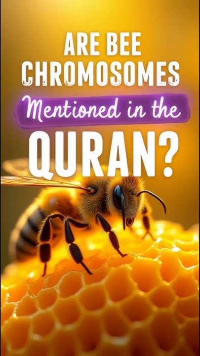 Unbelievable Quranic Miracle About Bees You Need to See! 😮🐝🤯#quran # ...