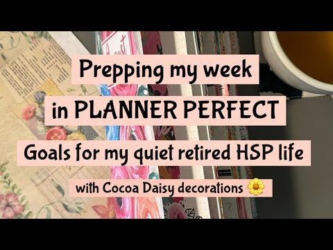 Prep a week in Planner Perfect / HSP Life - YouTube