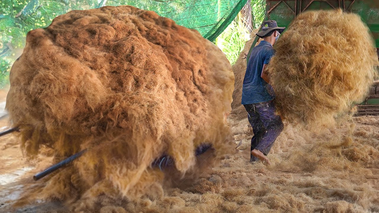 Amazing Way They Process Tons of Coconut Husk to Make Giant Mats - YouTube