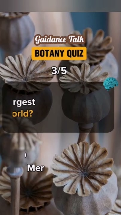 Botany Quiz Challenge # quiztime #botanyquiz - YouTube