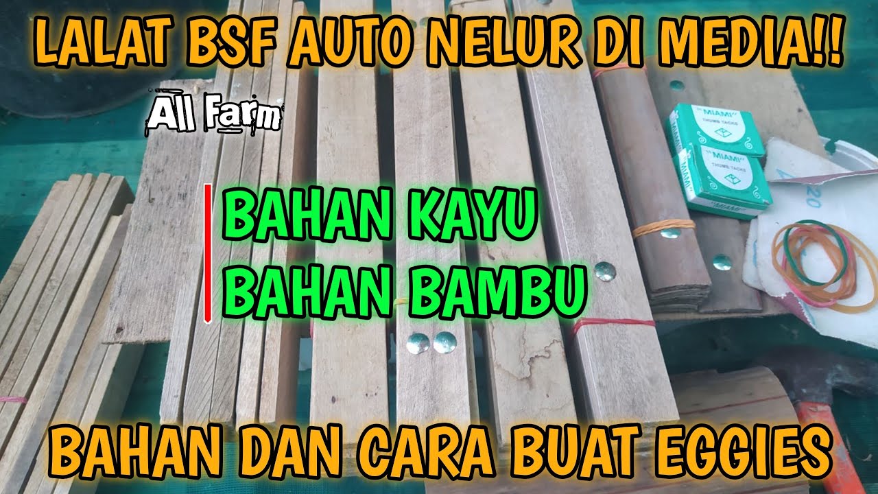 Cara Buat Eggies Tempat Bertelur Lalat BSF dari Kayu dan Bambu - YouTube