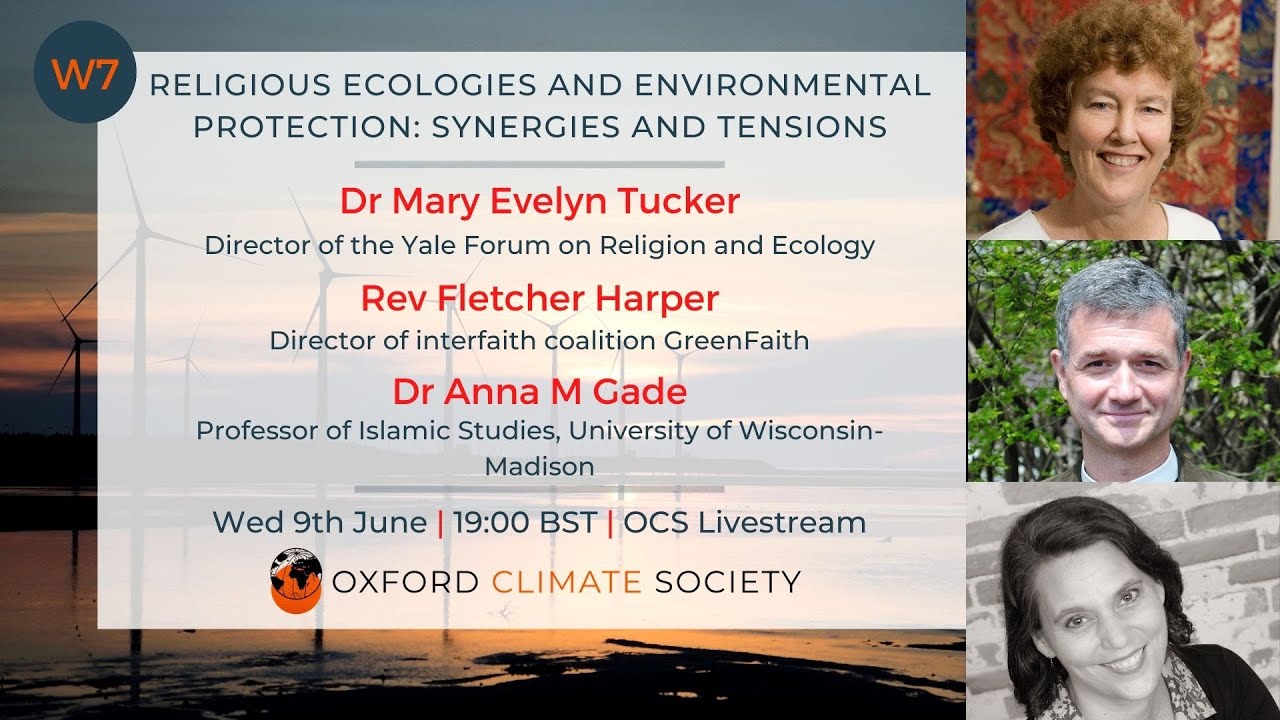 Religious Ecologies and Environmental Protection: Synergies and ...
