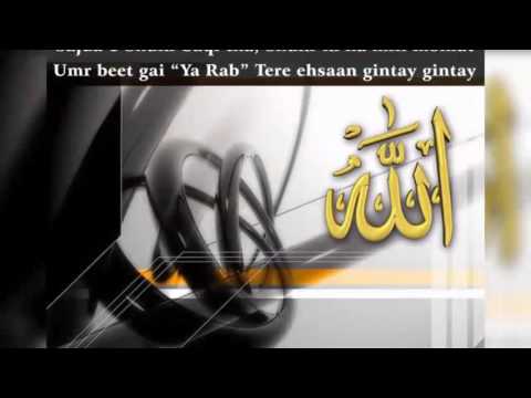 Al ashraf contracting