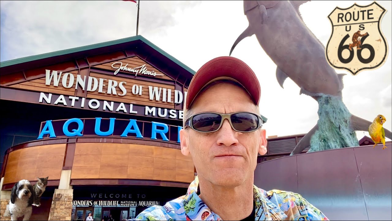 Wonders of Wildlife National Museum and Aquarium - Springfield, MO ...