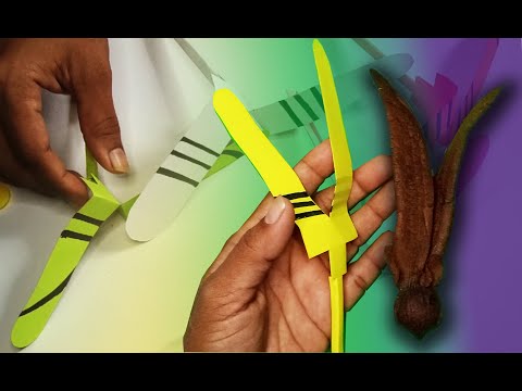How to Make Flying Paper Helicopter | Paper Helicopter | Art and Craft frme Sri lanka