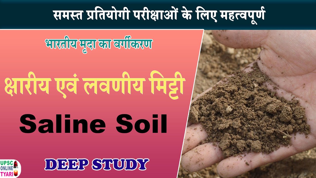 saline & Alkaline soil | Definition of saline soil | Also known as ...