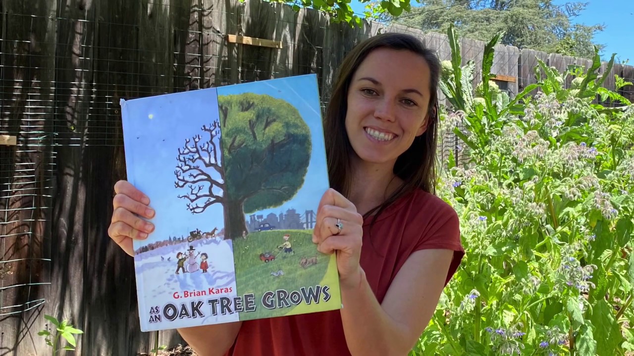 Outdoor Read Aloud: As An Oak Tree Grows by G. Brian Karas - YouTube