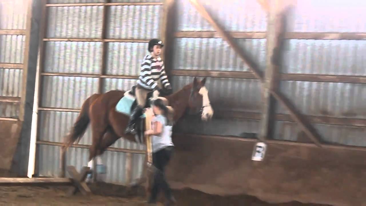 AMAZING flatwork with my horse ! - YouTube