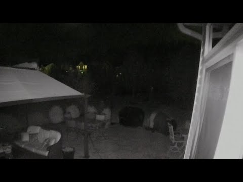 Alien In Our Backyard - YouTube