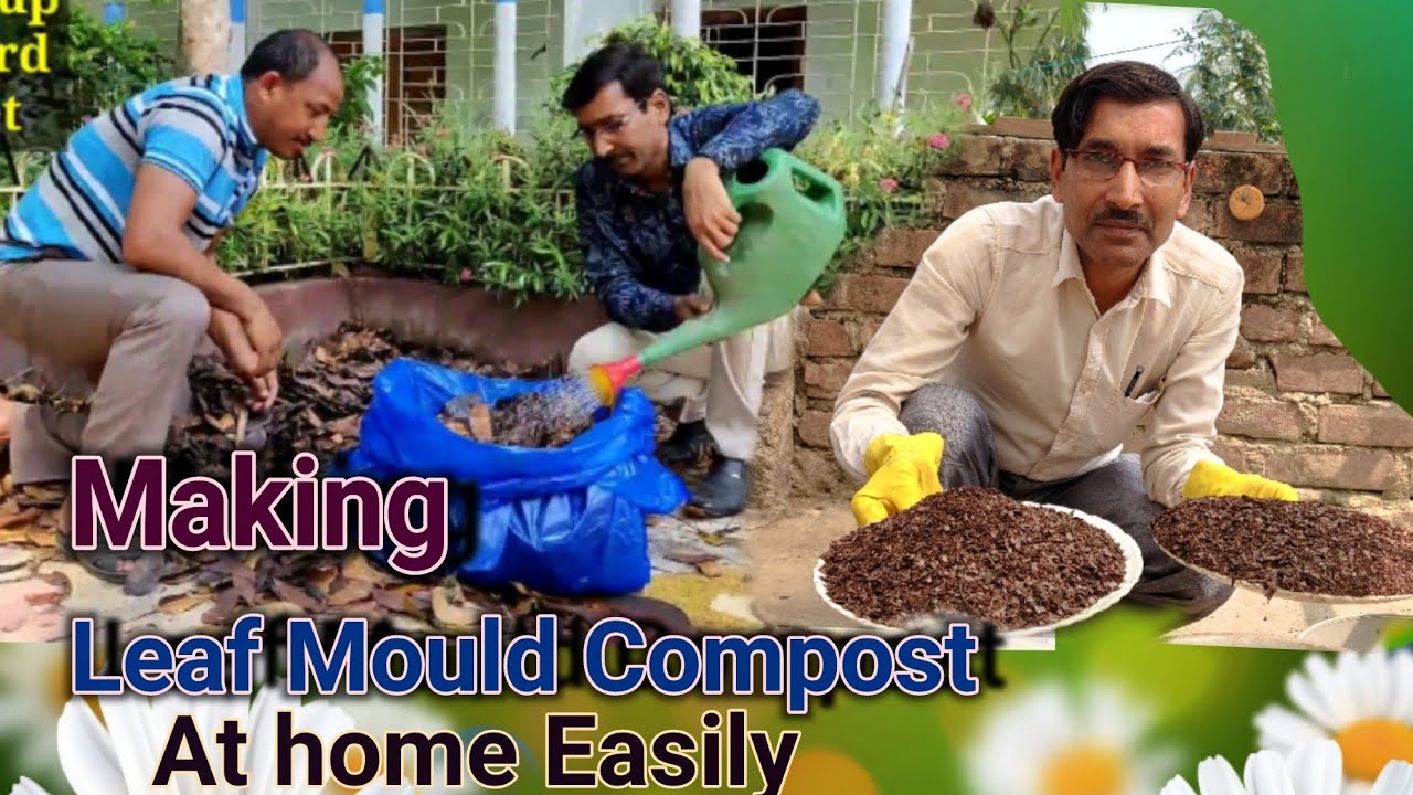 How to make leaf mould Compost at home Easily - YouTube