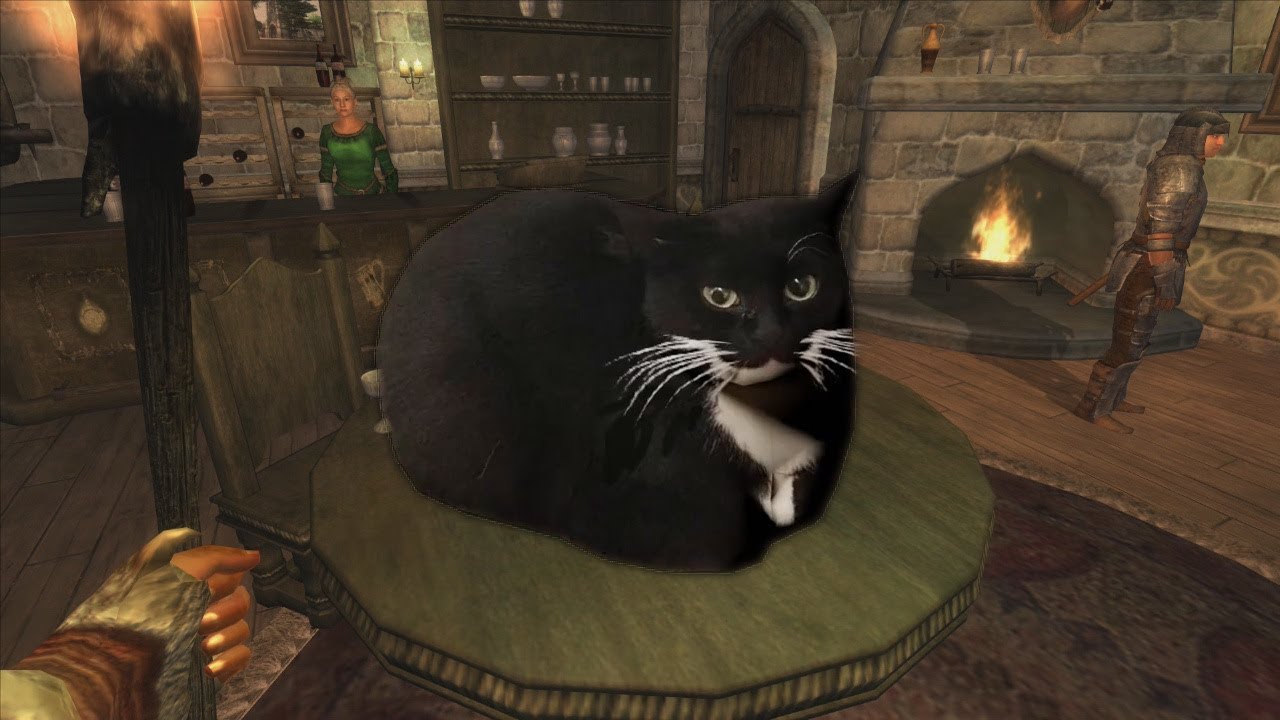 Maxwell Cat in Oblivion - YouTube