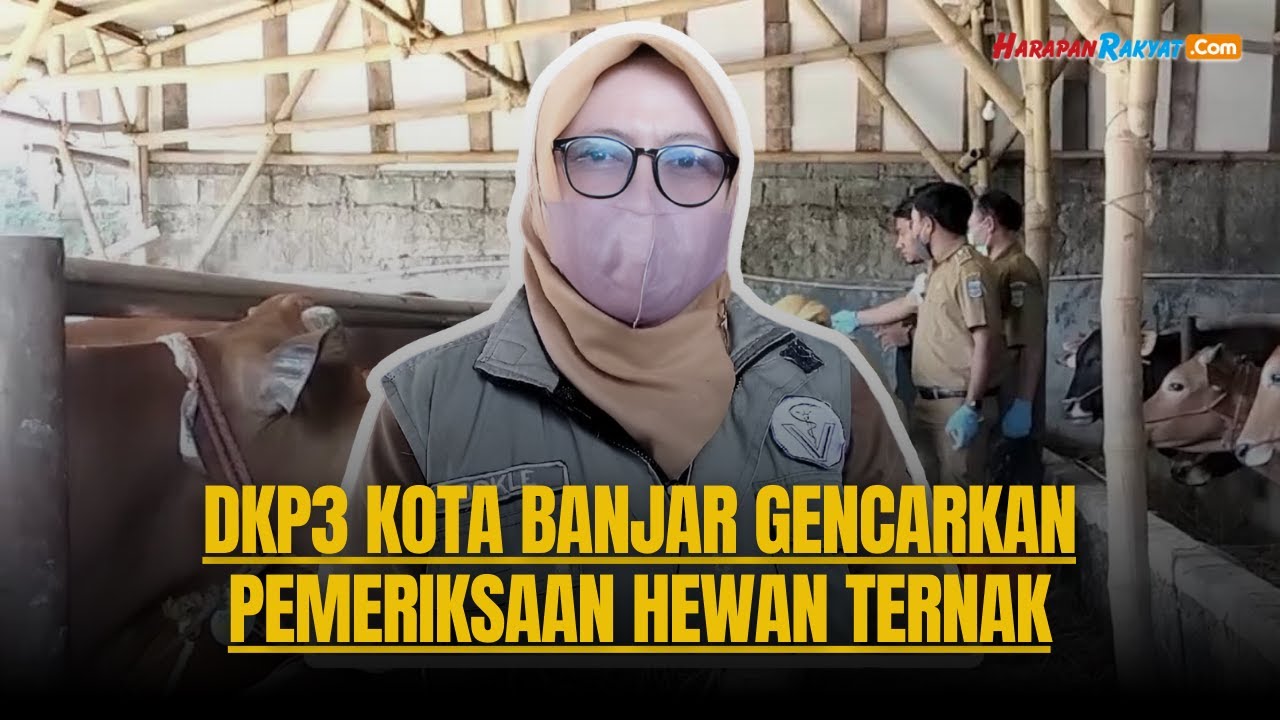 Sepekan Jelang Idul Adha, DKP3 Kota Banjar Gencarkan Pemeriksaan Hewan Ternak - YouTube
