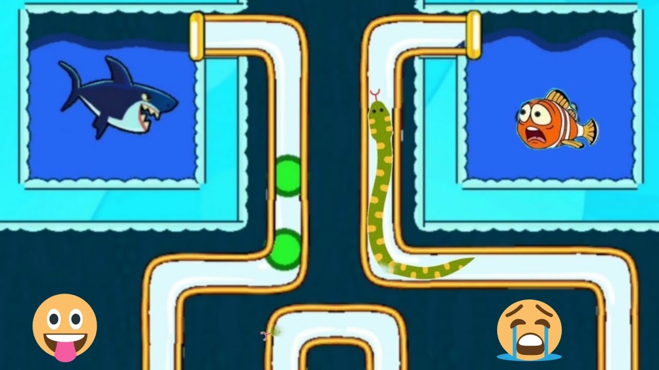 Save the fish / Pull the pin / Fishdom / Fish rescue game - YouTube