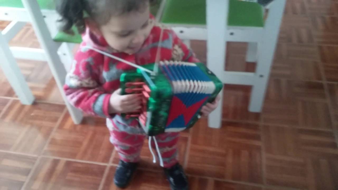 Tocando gaita - YouTube