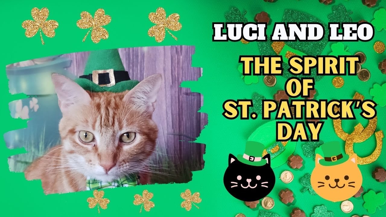 Luci and Leo Celebrate St Patrick's Day - YouTube