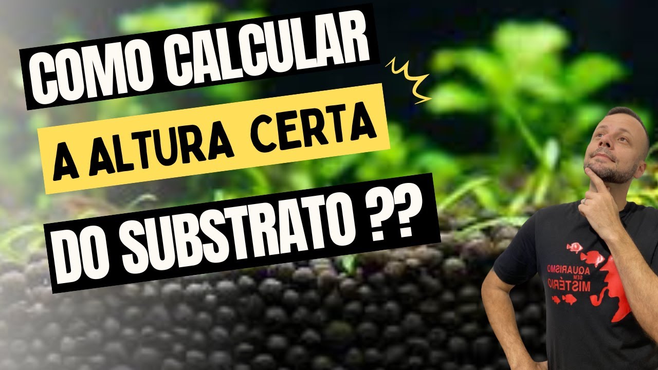 QUANTOS QUILOS DE SUBSTRATO EU PRECISO ?!! (DICA SEM MISTÉRIO) - YouTube