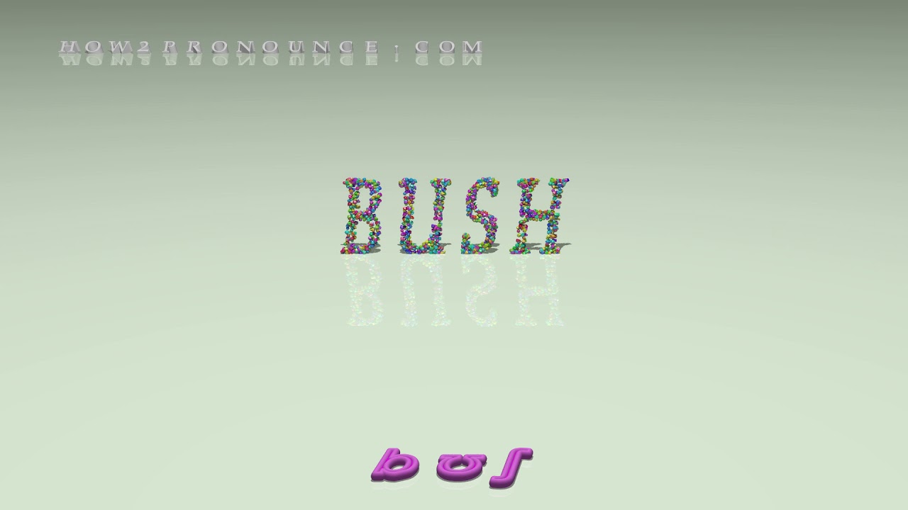 bush - pronunciation + Examples in sentences and phrases - YouTube