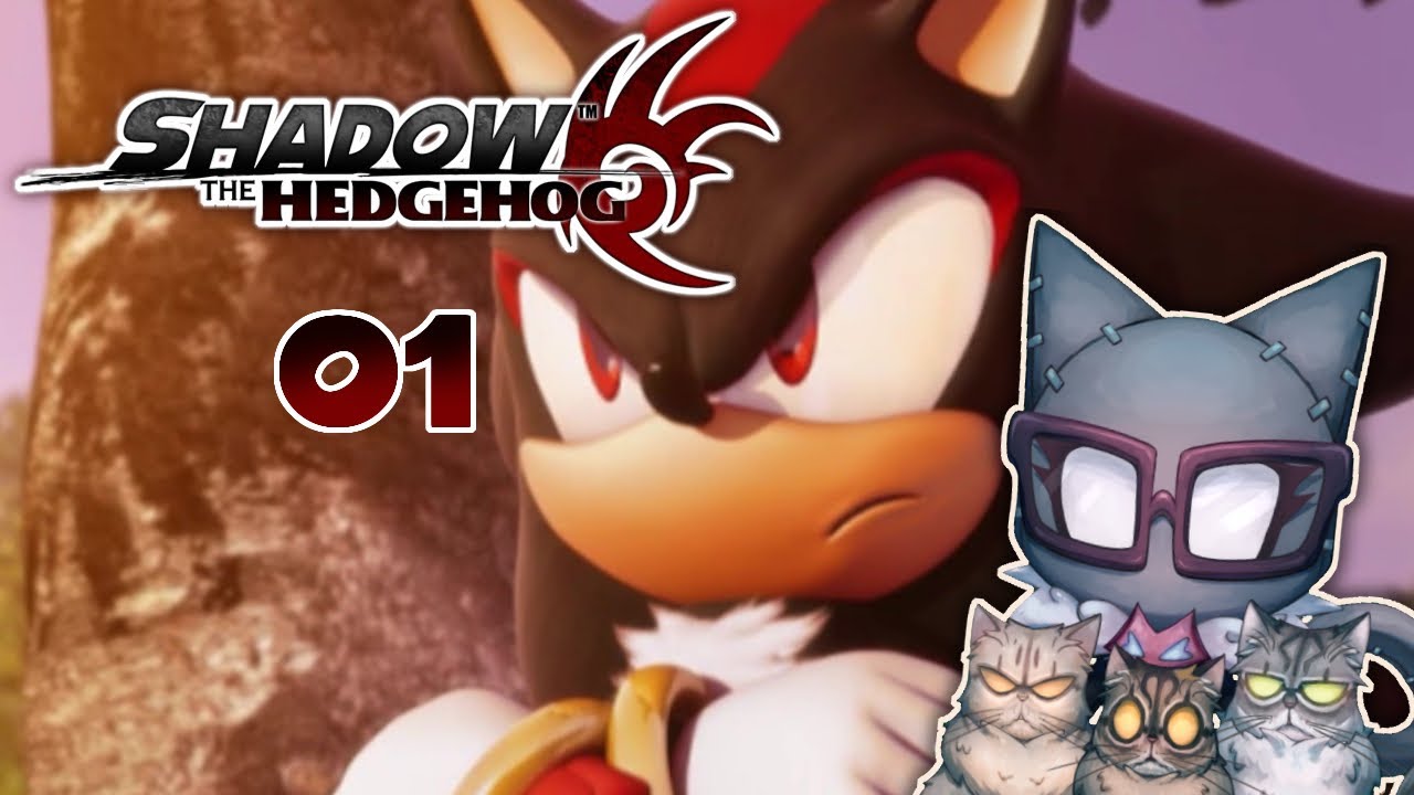 SHADOW THE HEDGEHOG - Parte 1 - Svegliarsi (Normal Story) - YouTube