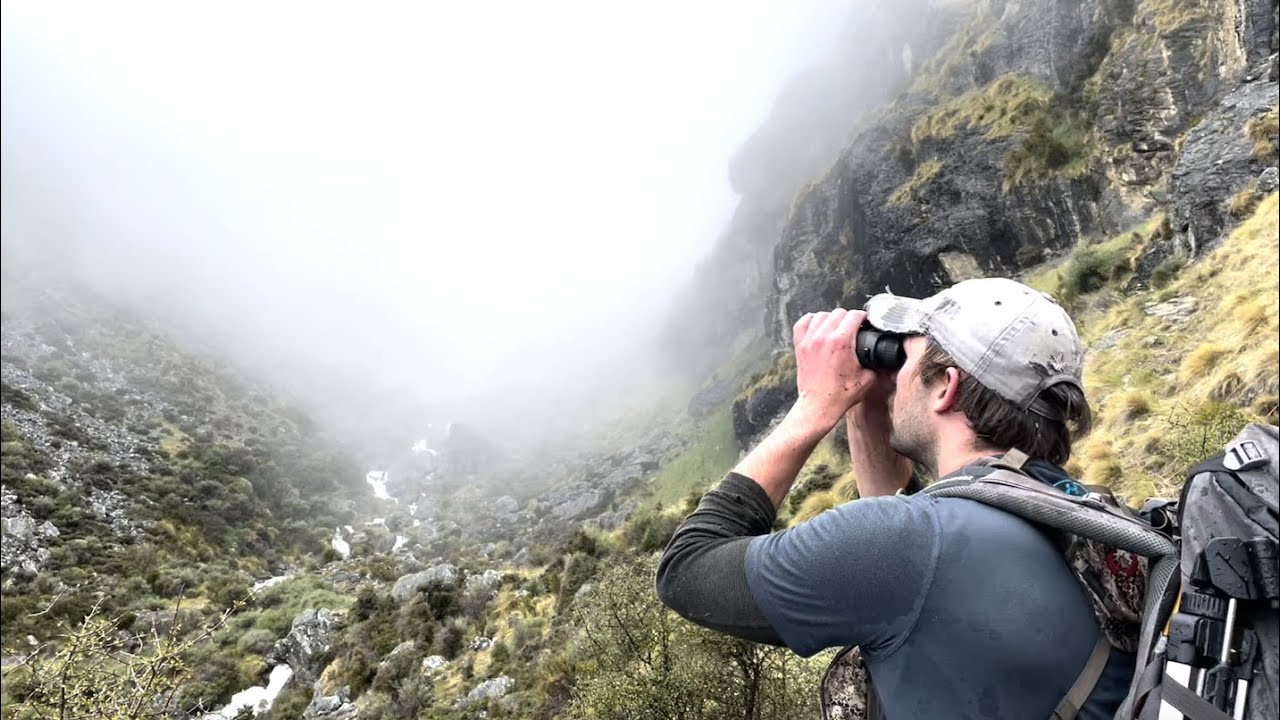 Chamois Everywhere - Mountain Hunting New Zealand - YouTube