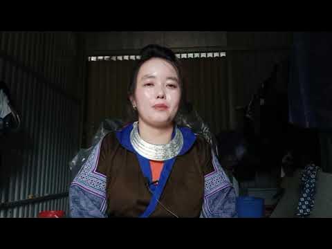 maiv vaj log qhia maiv vaj tug txiv thiab tham txog lub neej tu siab rau nej/điam/1/11/2022 ...