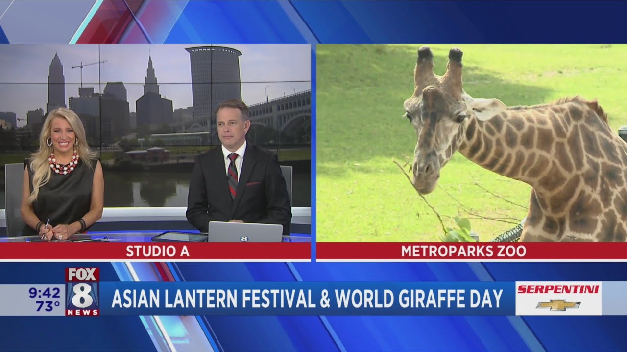 Celebrate World Giraffe Day and meet 'Rocket' Cleveland's newest ...
