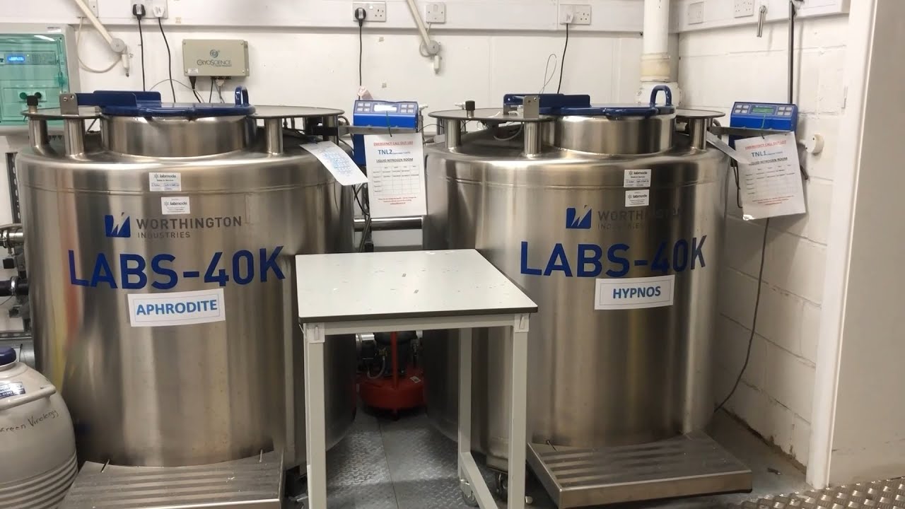 Blizard Institute laboratory facilities - YouTube
