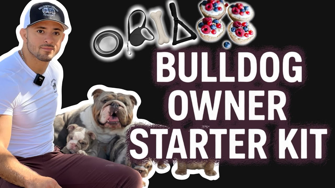 Bulldog Owner Starter Kit: How to Walk, Feed, Play, & Pick Reputable ...