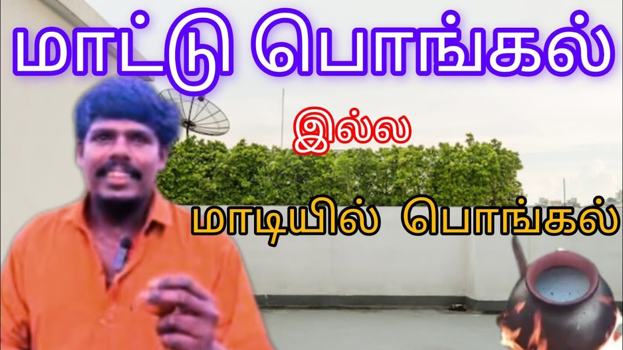 மாடியில் பொங்கல் பாருங்க (@Mr.chiththa ) - YouTube