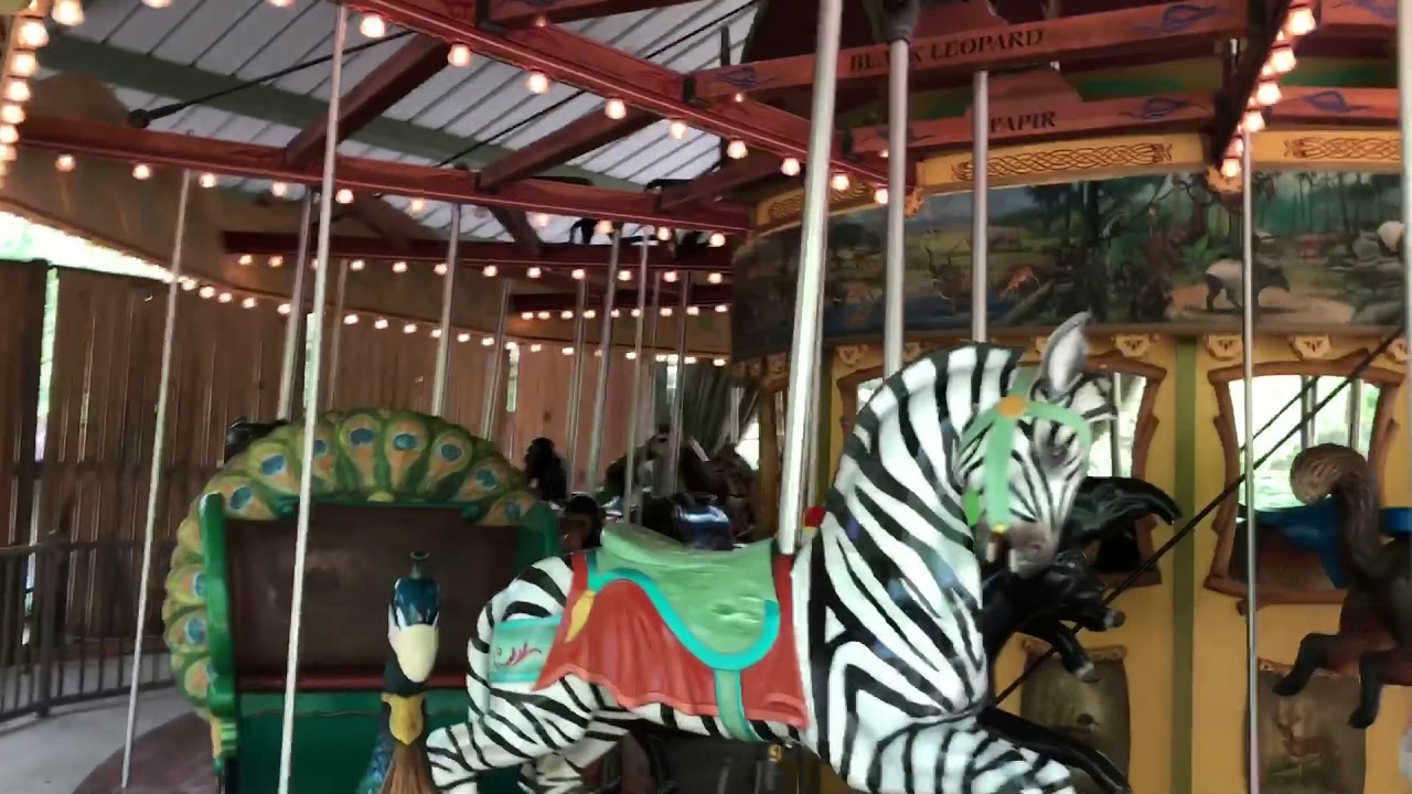 Jackson Zoo Carousel - YouTube