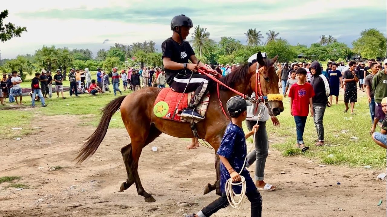 Kumpulan Kuda-Kuda Besar Terbaik ada disini | Tempat Pacuan Kuda - YouTube