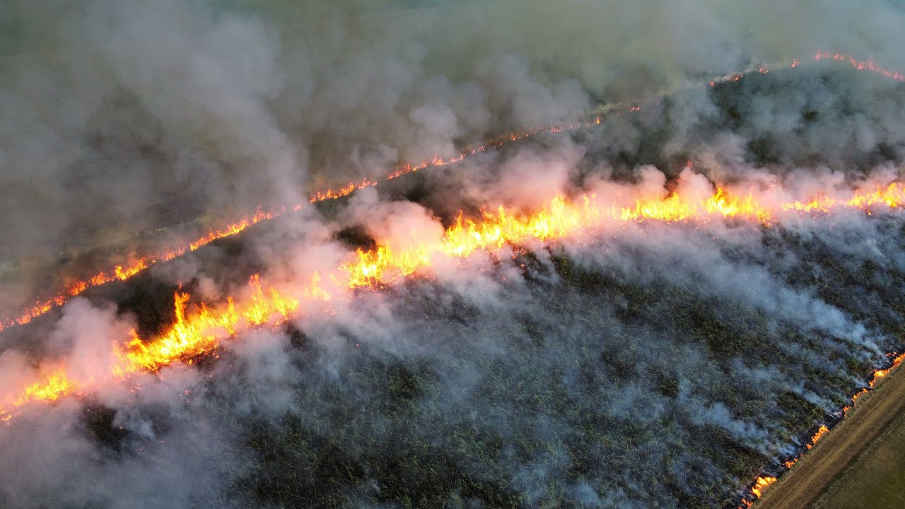 Cane Fire in Gordonvale - Birds Eye View - YouTube